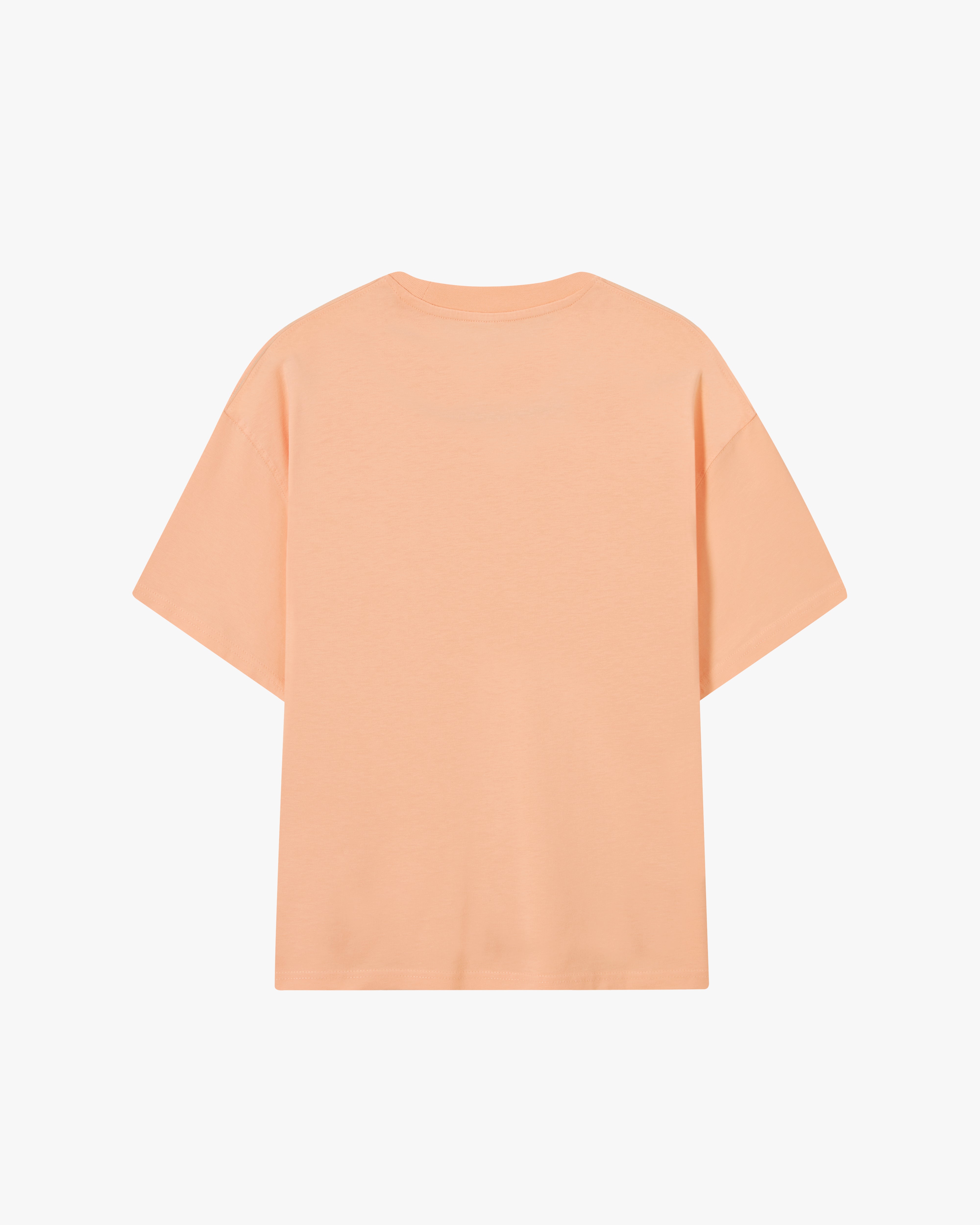 Basic Tee Salmon/Ash/Pink 3Xpack – Nude Project